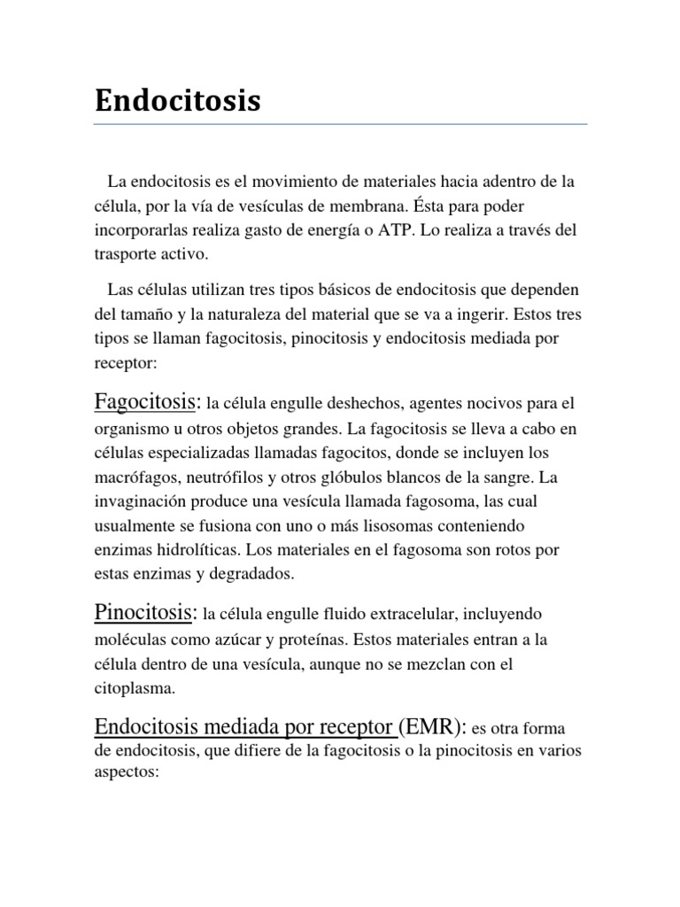 Endocitosis | PDF | Biología Celular | Bioquímica