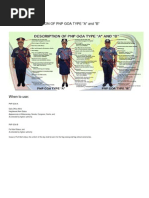 PNP Seal and Badge With Meaning | PDF