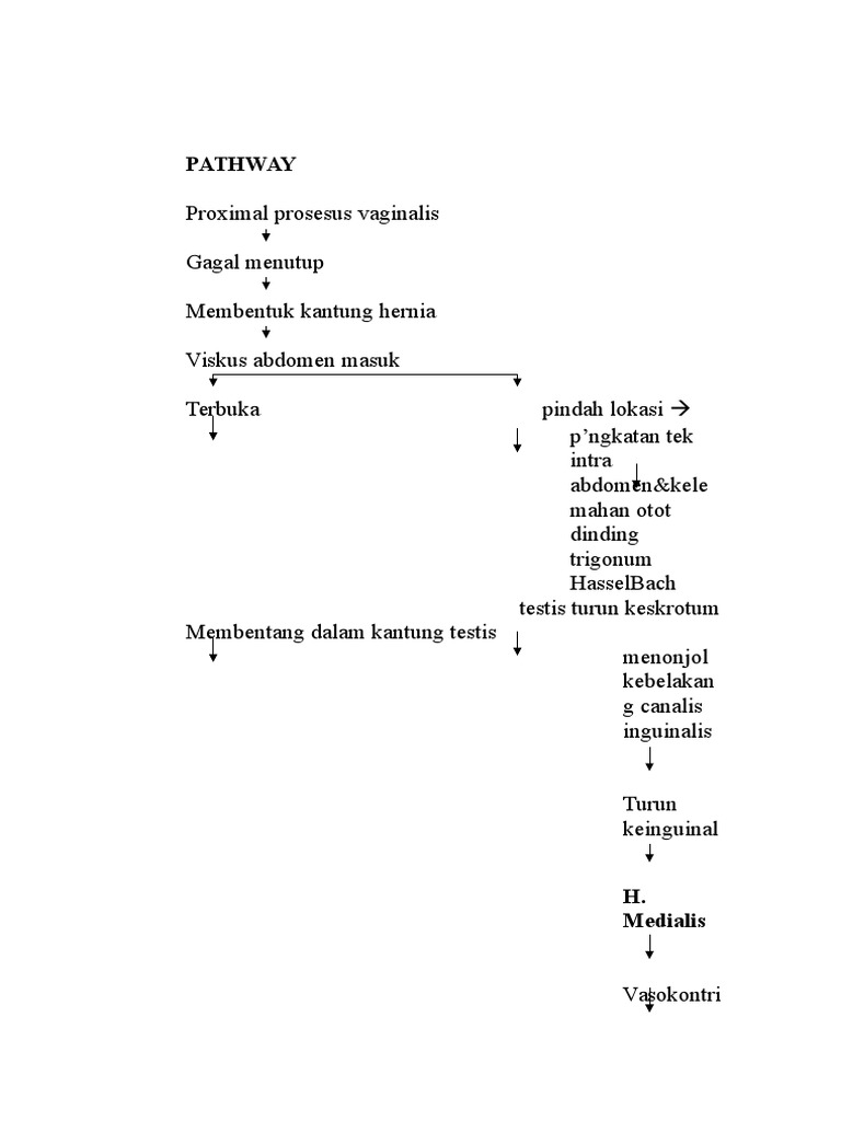 Pathway Hernia Inguinalis | PDF