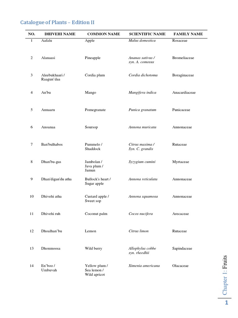 Dhivehi Names of Common Fruits | PDF | Cooking, Food & Wine