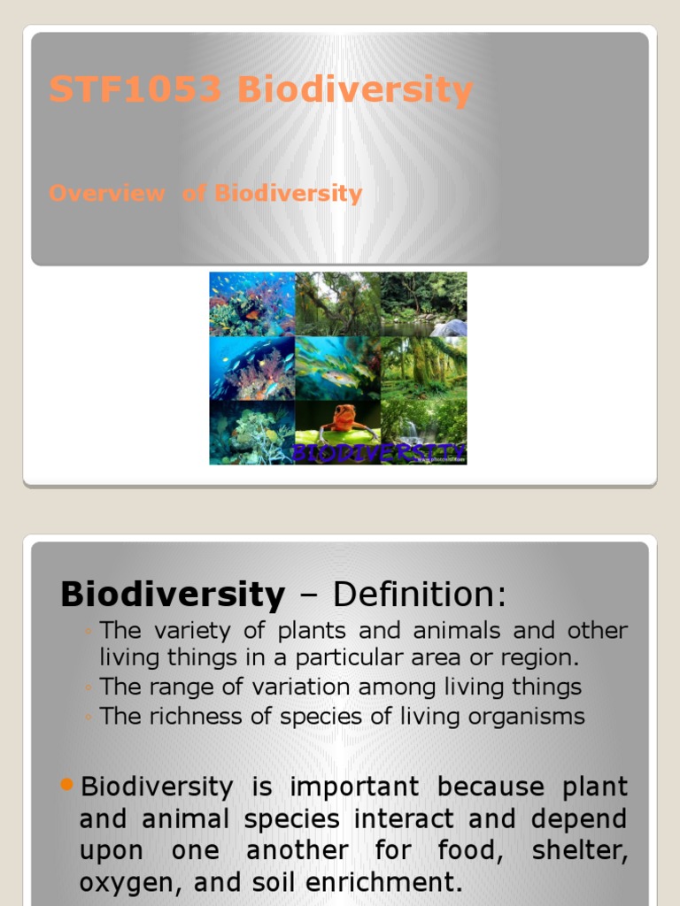 Lu1 Stf1053 Biodiversity - Introduction | PDF | Biodiversity | Plants