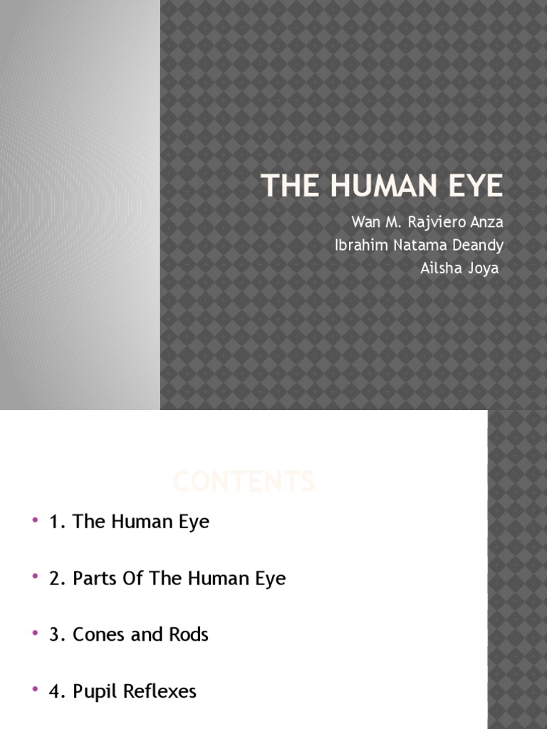 The Human Eye | PDF | Human Eye | Eye