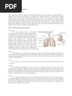 Anatomy and Physiology | PDF | Heart | Lung