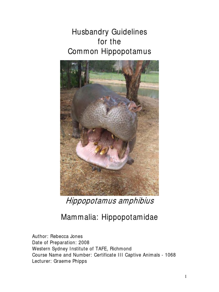 Common Hippopotamus Husbandry Guidelines | PDF | Hippopotamus | Hay