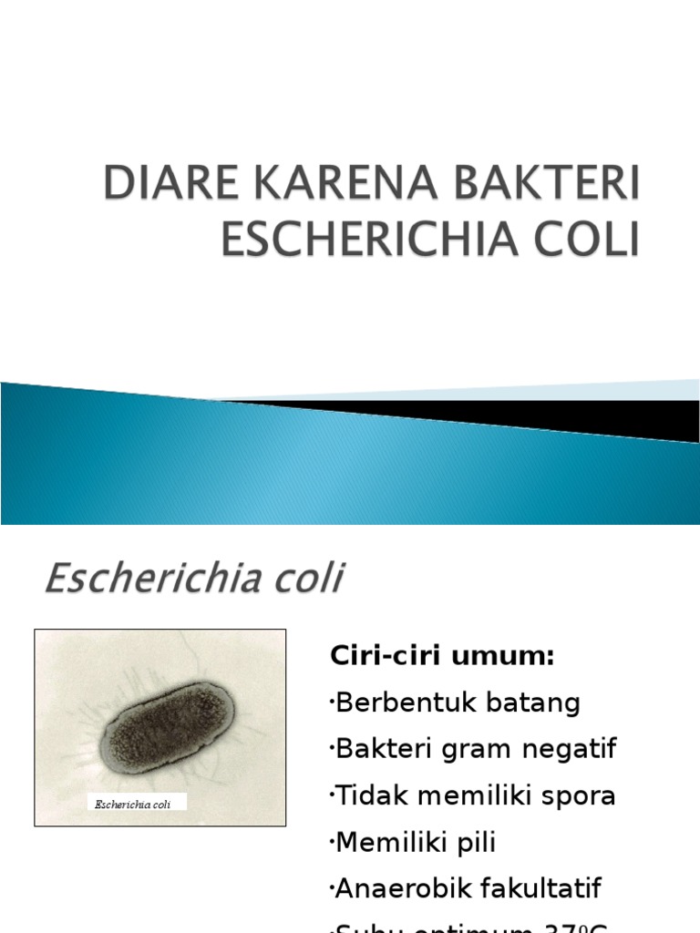 E Coli | PDF