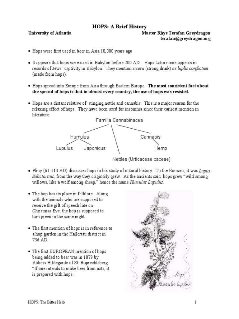 HOPS: A Comprehensive History of the Bitter Herb's Spread and Role in ...