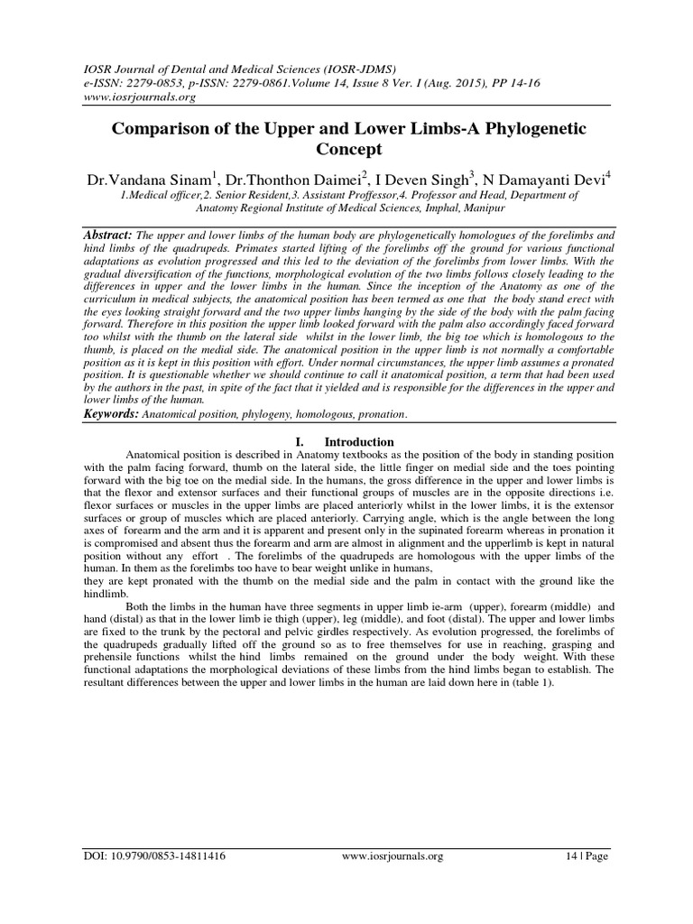 Comparison of The Upper and Lower Limbs-A Phylogenetic Concept | PDF ...