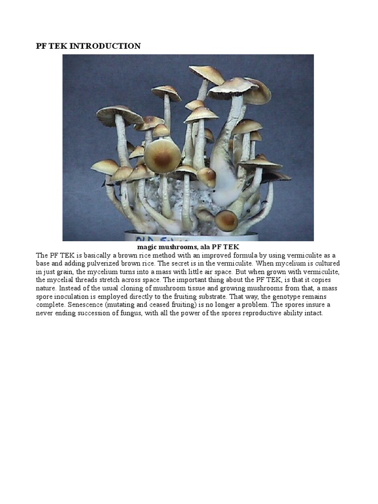 A Comprehensive Guide to the PF Tek Method for Cultivating Magic ...