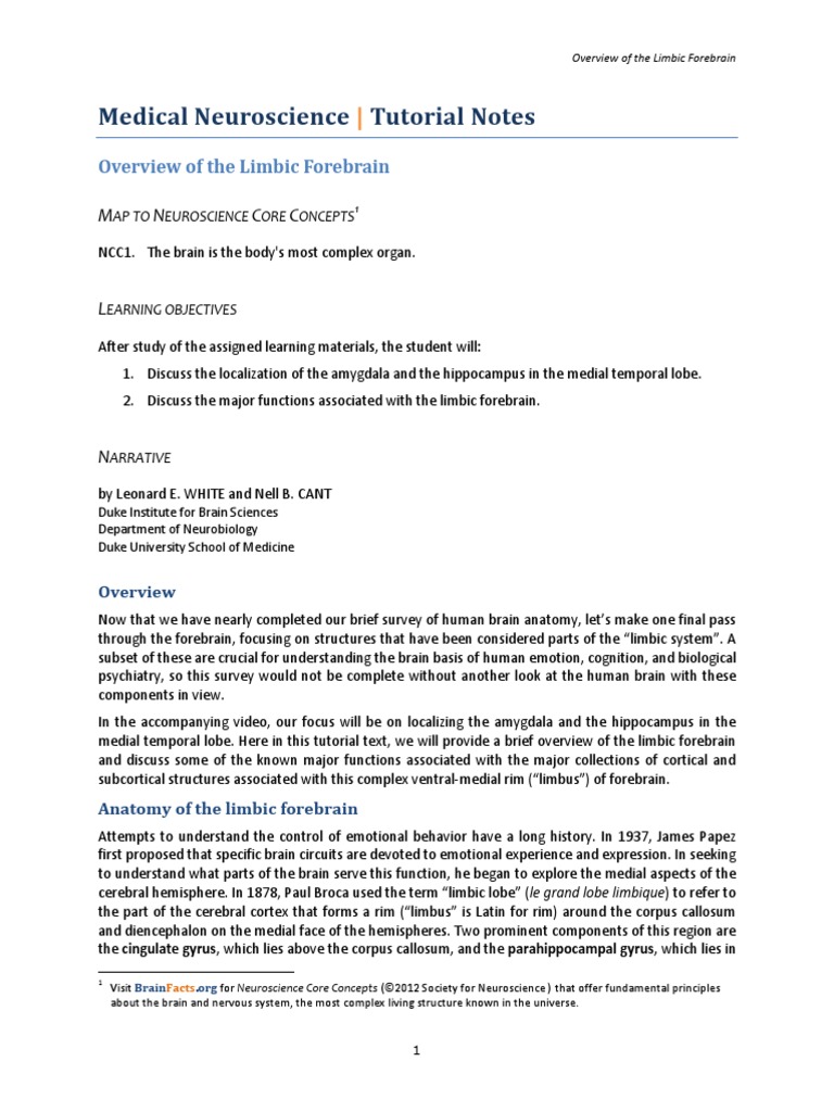 Limbic Forebrain - Overview | PDF | Limbic System | Cingulate Cortex