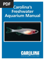 Goldfish Color Graphing Activity | PDF | Graphic Design | Qualia