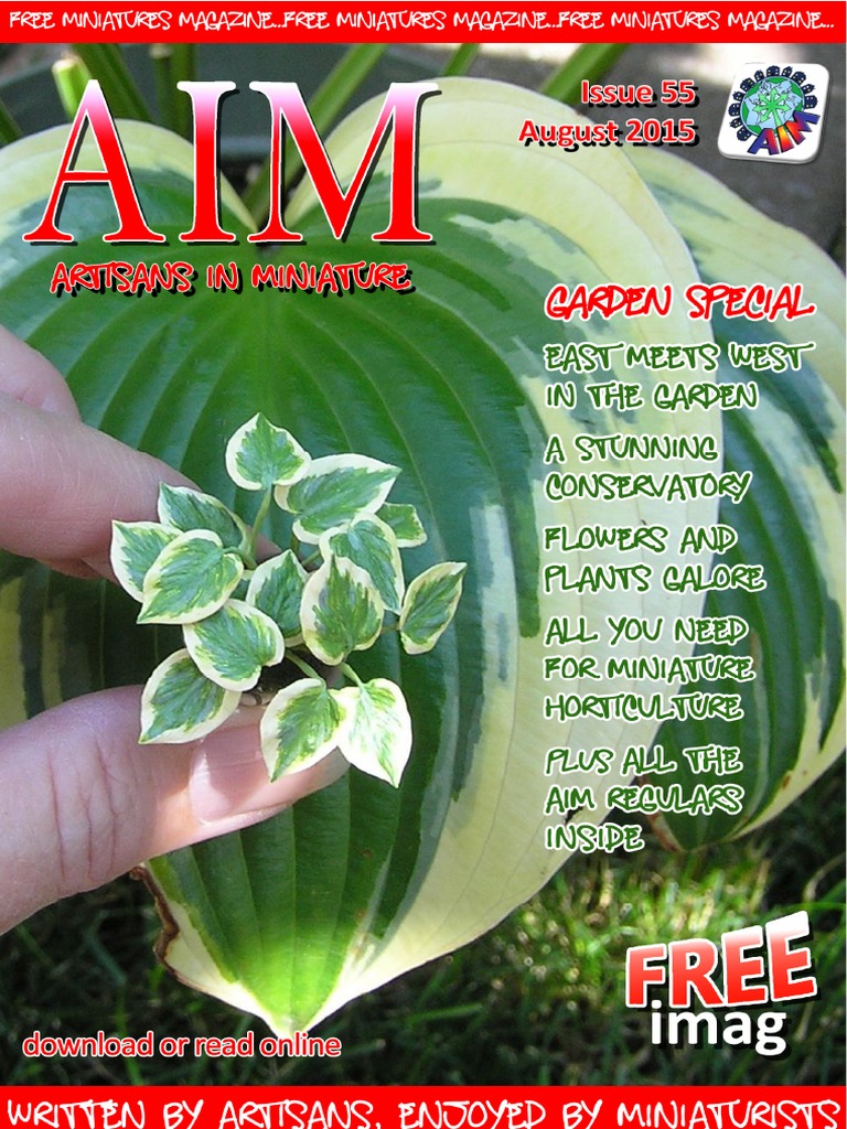 Aim IMag Issue 55 | PDF | Internet