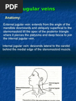 Deep Vein Thrombosis DVT Examination OSCE Checklist Geeky Medics | PDF ...