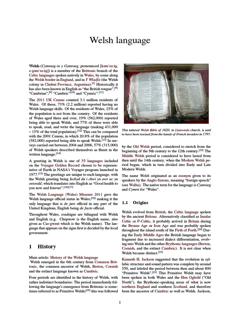 Welsh Language | PDF | Wales | Grammatical Gender