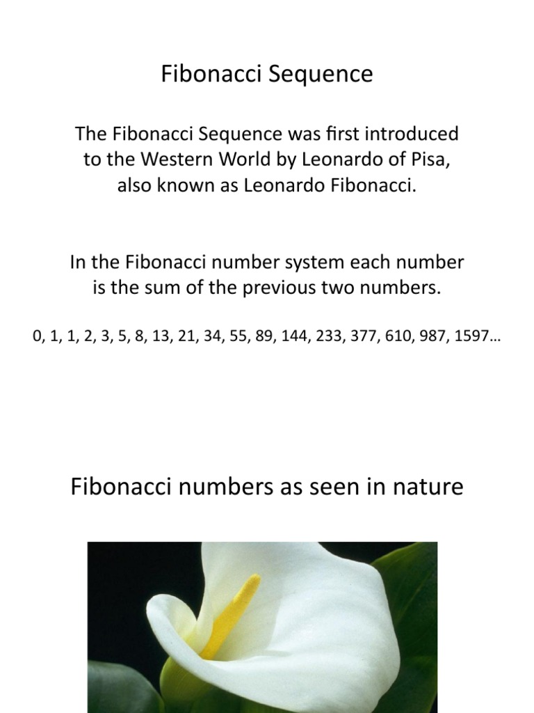 Fibonacci Sequence & Nature Patterns | PDF