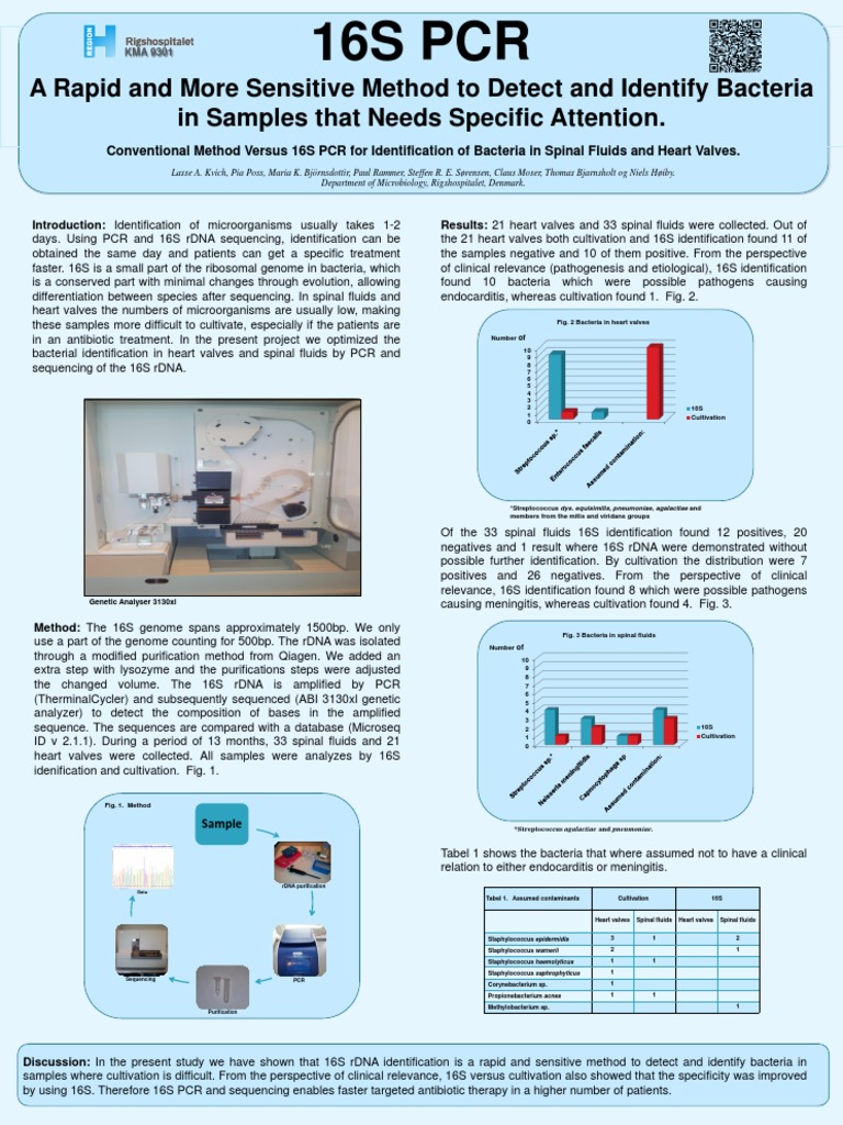 16s Pcr Engelskjkjl | 16 S Ribosomal Rna | Bacteria