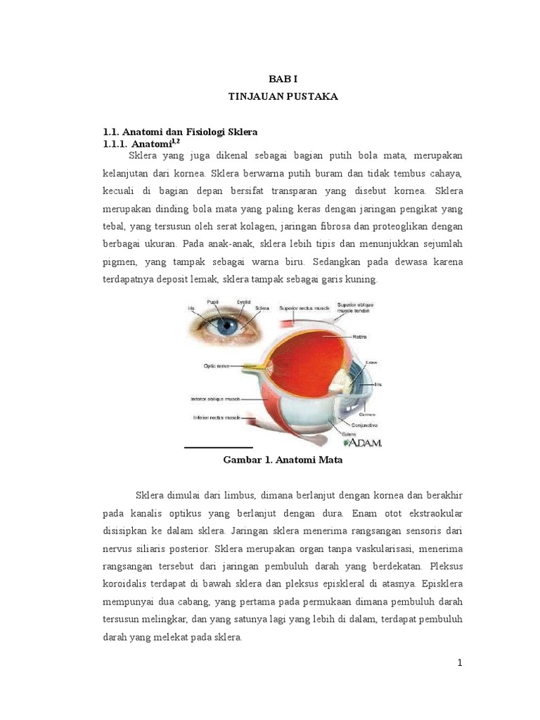 Episkleritis Dan Skleritis | PDF
