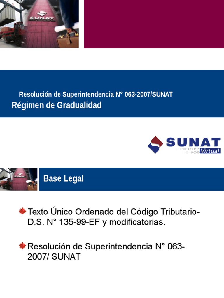 Regimen de Gradualidad Segun Sunat | PDF | Pagos | Contabilidad