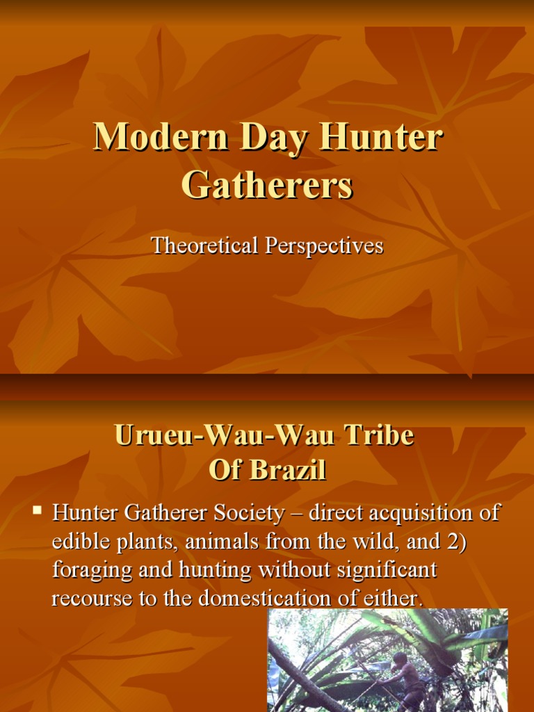 Modern Day Hunter Gatherers | PDF | Hunting | Family