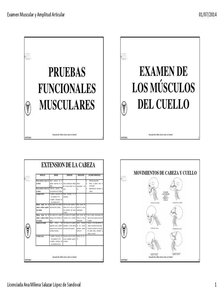 Pruebas Funcionales Musculares Completas Examen Muscular y Amplitud ...