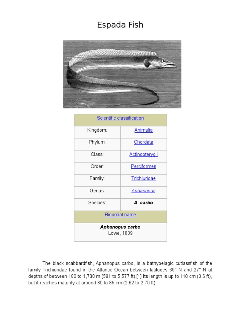 Espada Fish | Foods | Food & Wine