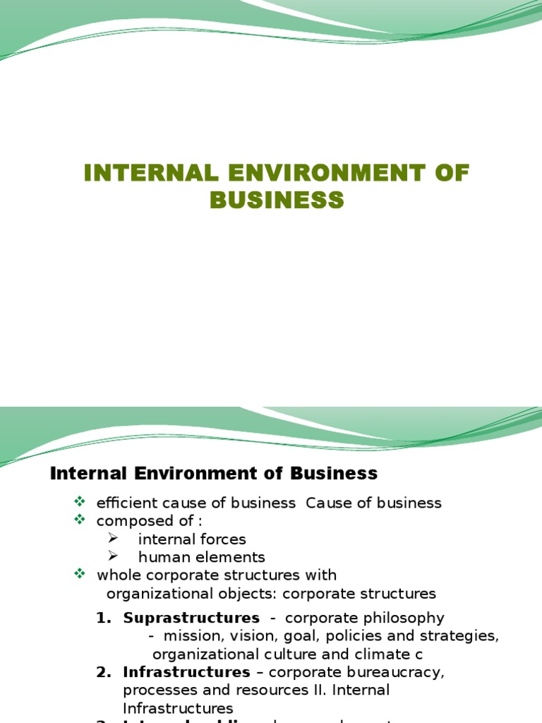 Understanding the Internal Environment of a Business | PDF | Strategic ...