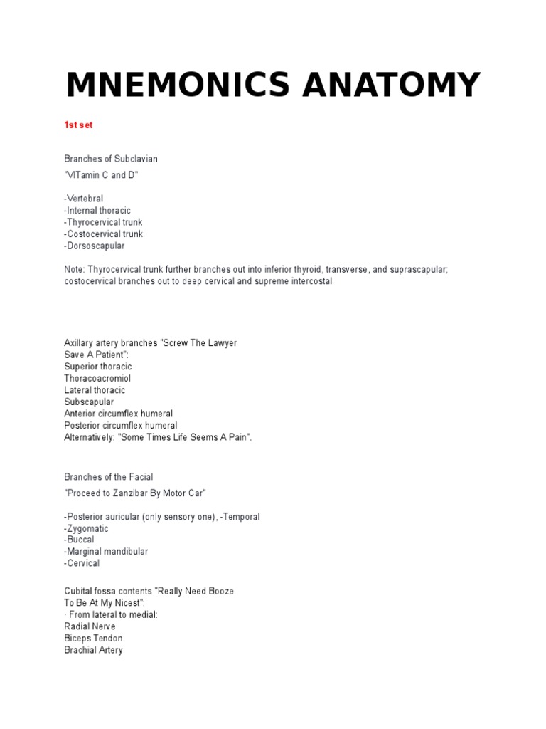 Carotid Sheath Mnemonic
