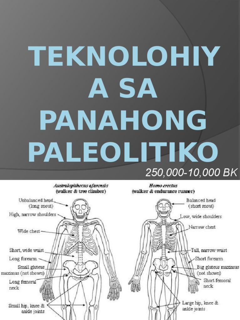 Teknolohiya sa Panahong Paleolitiko | PDF | Stone Age | Pleistocene