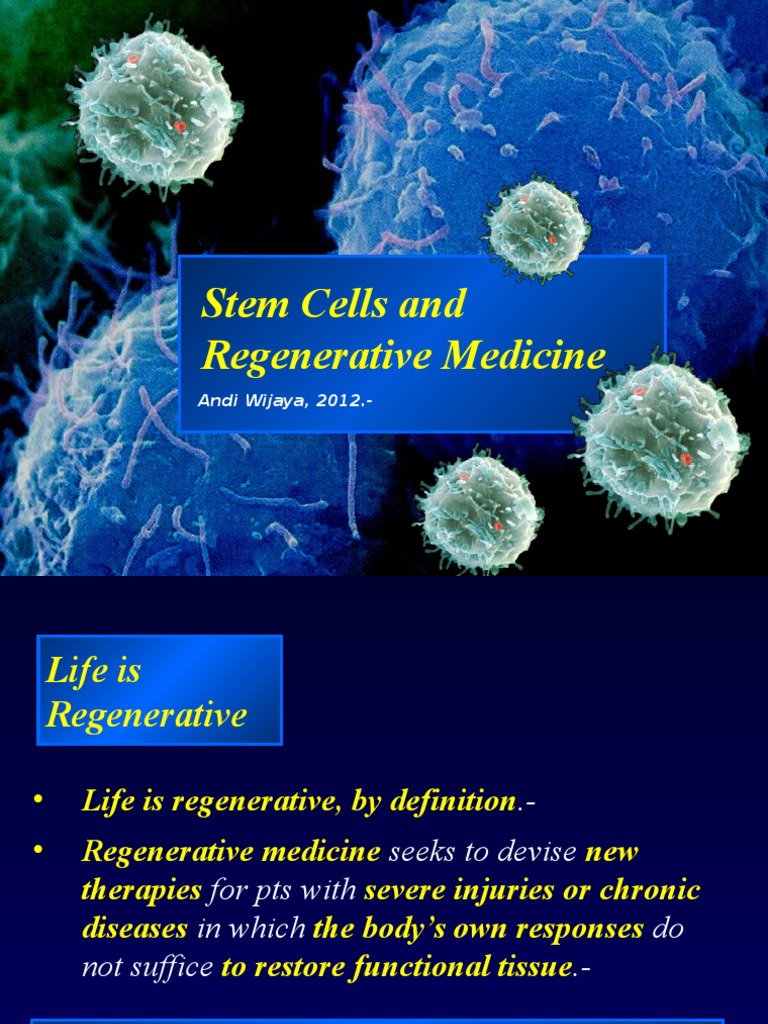 Stem Cells and Regenerative Medicine | PDF | Mesenchymal Stem Cell ...