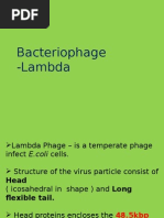 MPN Table | PDF | Evaluation Methods | Methodology