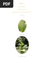 Liber Azerate (Semi-English) | PDF | Satanism | Plane (Esotericism)