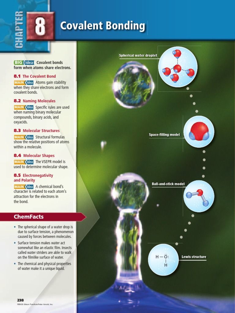 Pages From Glencoe - Chemistry - Matter and Change (Mcgraw 2008) ch8 ...