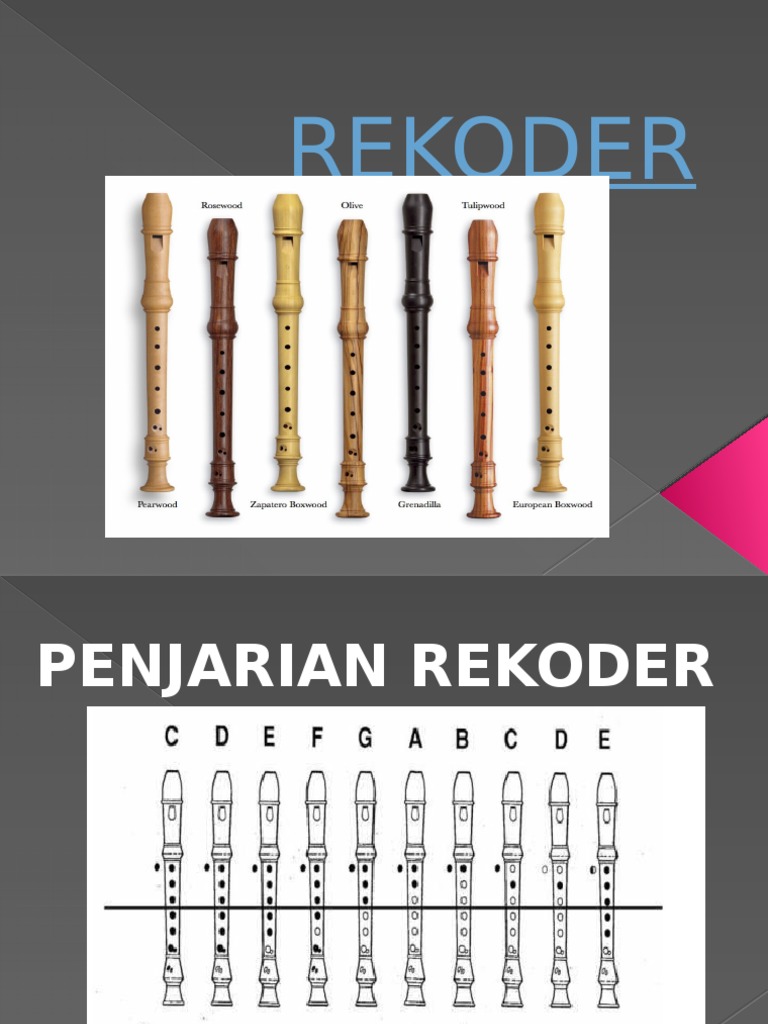Rekoder Tahun 3 | PDF