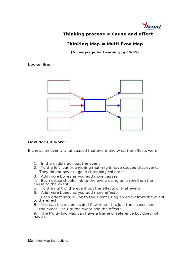 Multi-Flow Map Guide: Cause & Effect | PDF