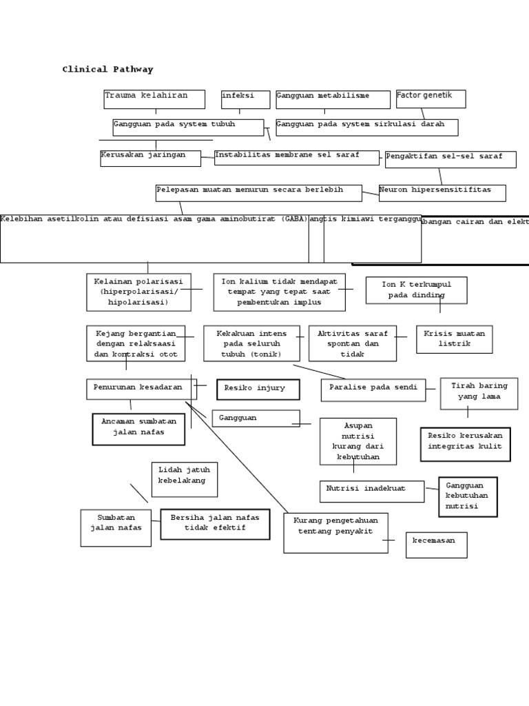 Pathway Epilepsi | PDF