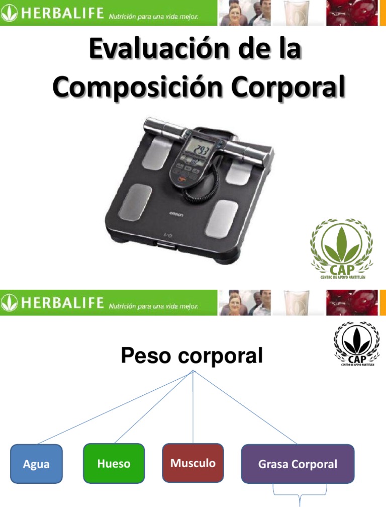 Evaluación integral de la composición corporal: factores a considerar, riesgos asociados y ...