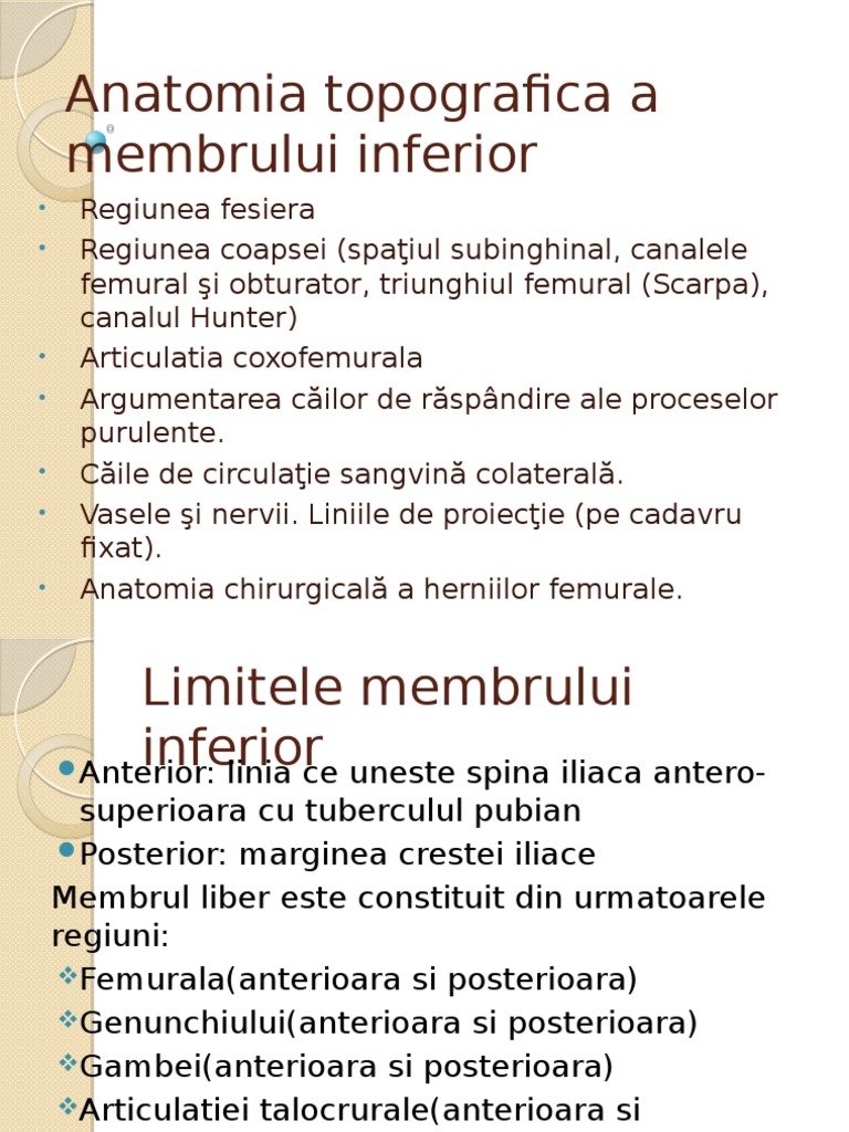 Anatomia Topografica a Membrului Inferior