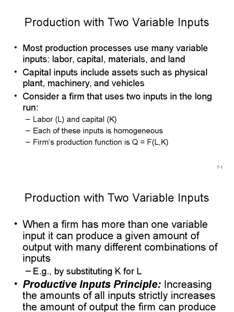Belong Run Prod Function | PDF | Production Function | Labour Economics
