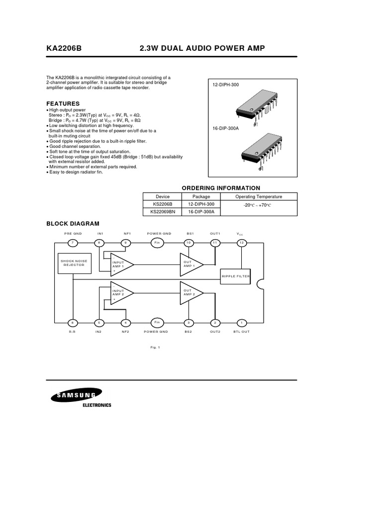 Amp Ka2206b | Amplifier | Electrical Engineering