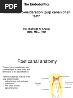 Endo Morphology Chart PDF | PDF | Tooth | Dental Anatomy