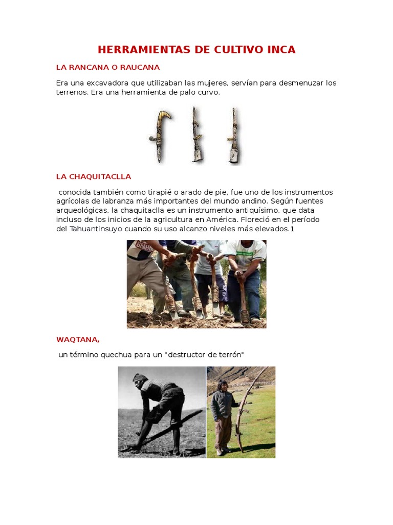 Herramientas de Cultivo Inca | PDF | Imperio Inca | Agricultura