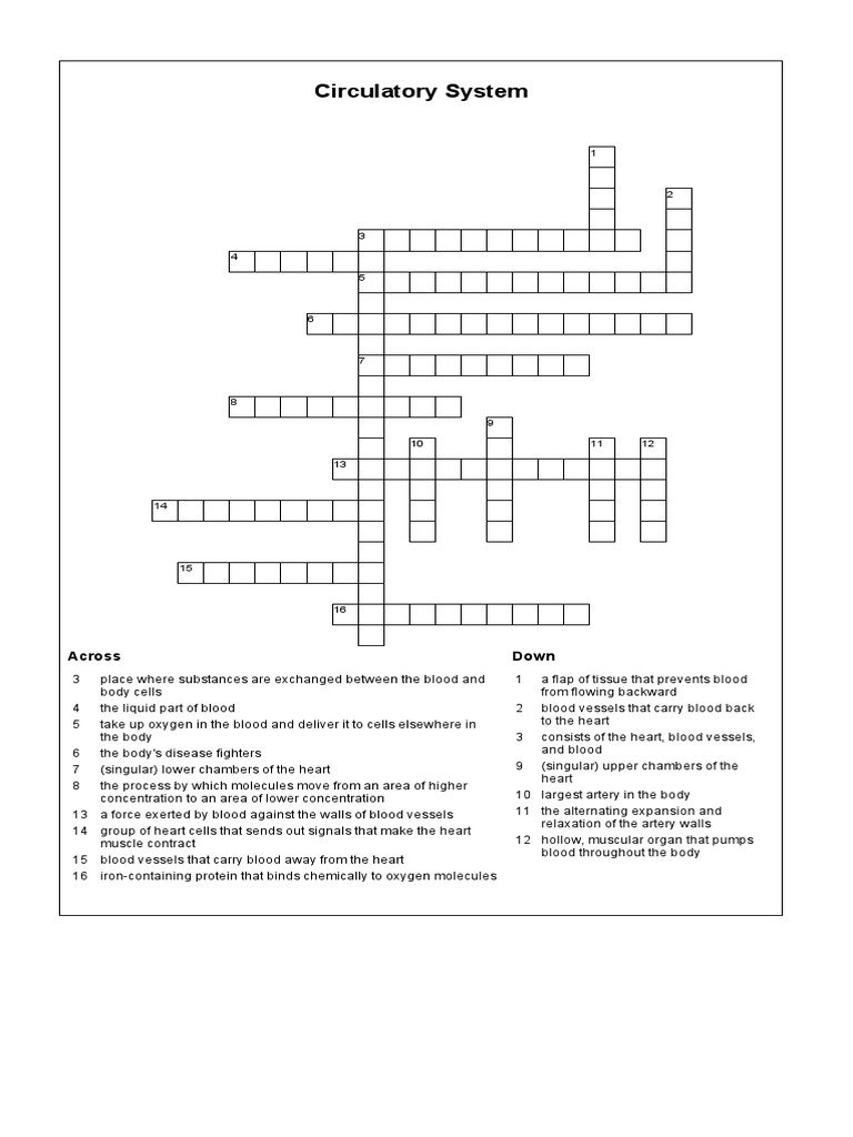 Circulatory System Crossword Puzzle | PDF | Blood Vessel | Blood
