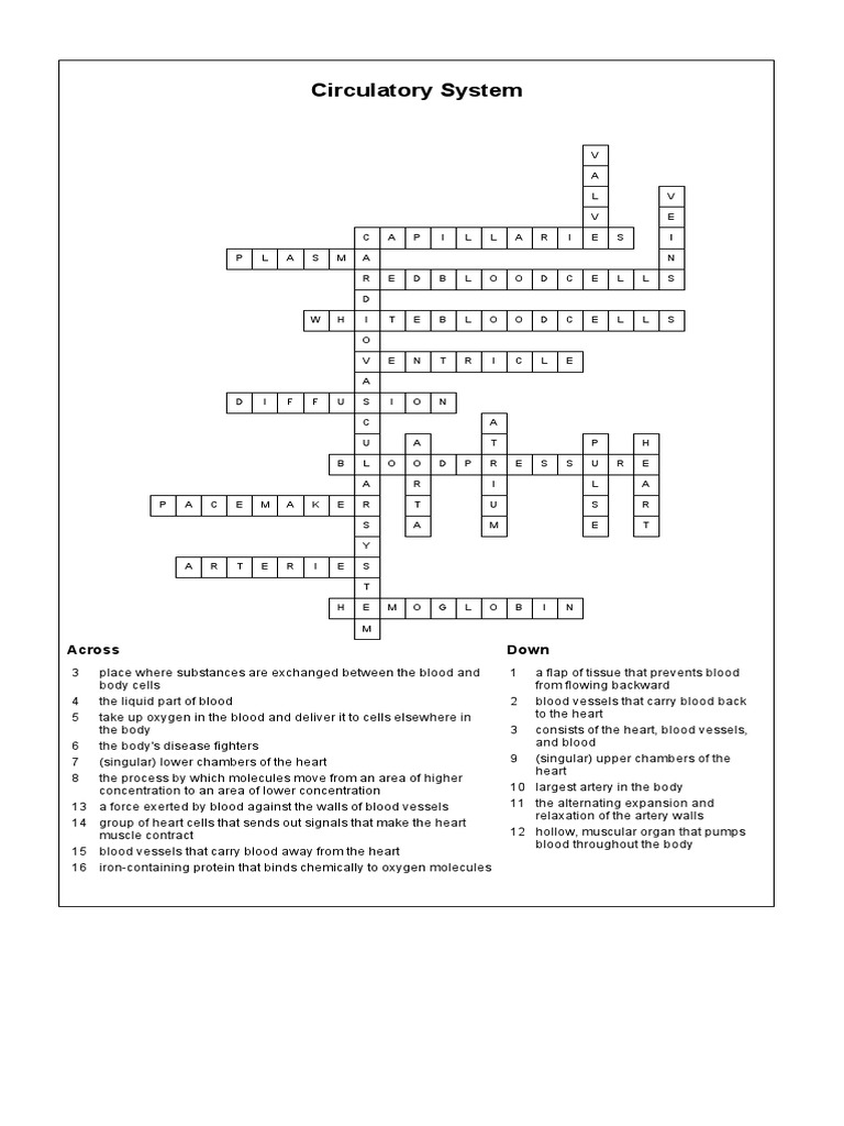 Circulatory System Crossword Puzzle Answers | PDF | Blood Vessel | Blood
