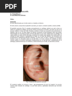 Otoscopia Normal | PDF | Oído | Anatomía