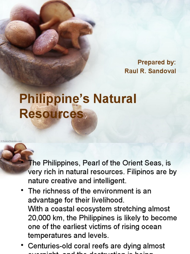 Philippine's Natural Resources | PDF | Earth Sciences | Physical Geography