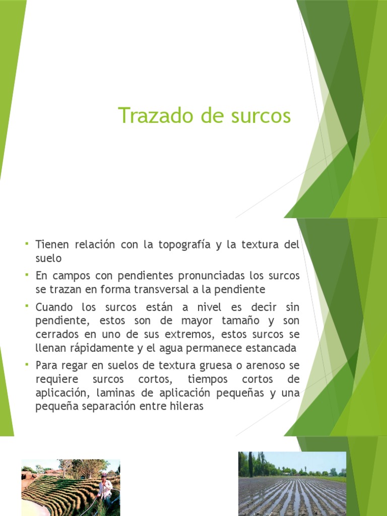 Trazado y Eficiencia de Surcos Agrícolas | PDF | Suelo | Riego