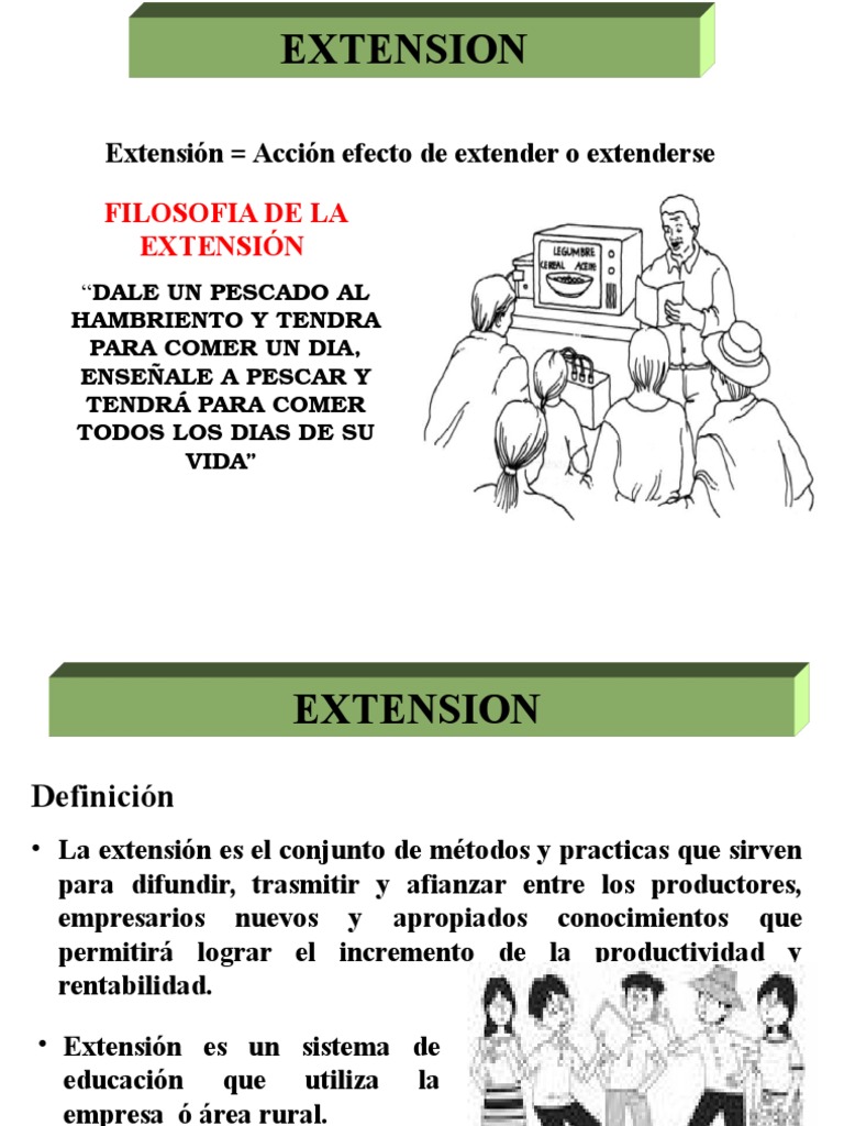 Definicion Extension | PDF | Percepción | Aprendizaje