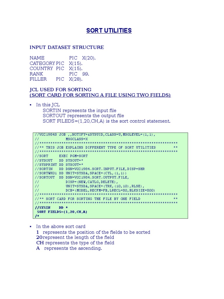 SORT UTILITIES INPUT DATASET STRUCTURE AND JCL | PDF | Parameter (Computer Programming) | Input ...