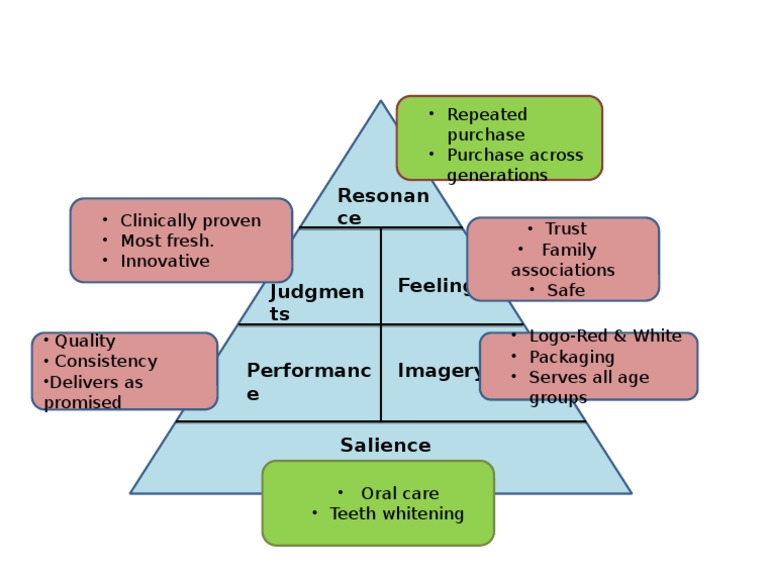 CBBE Pyramid Insights for Oral Care | PDF | Career & Growth