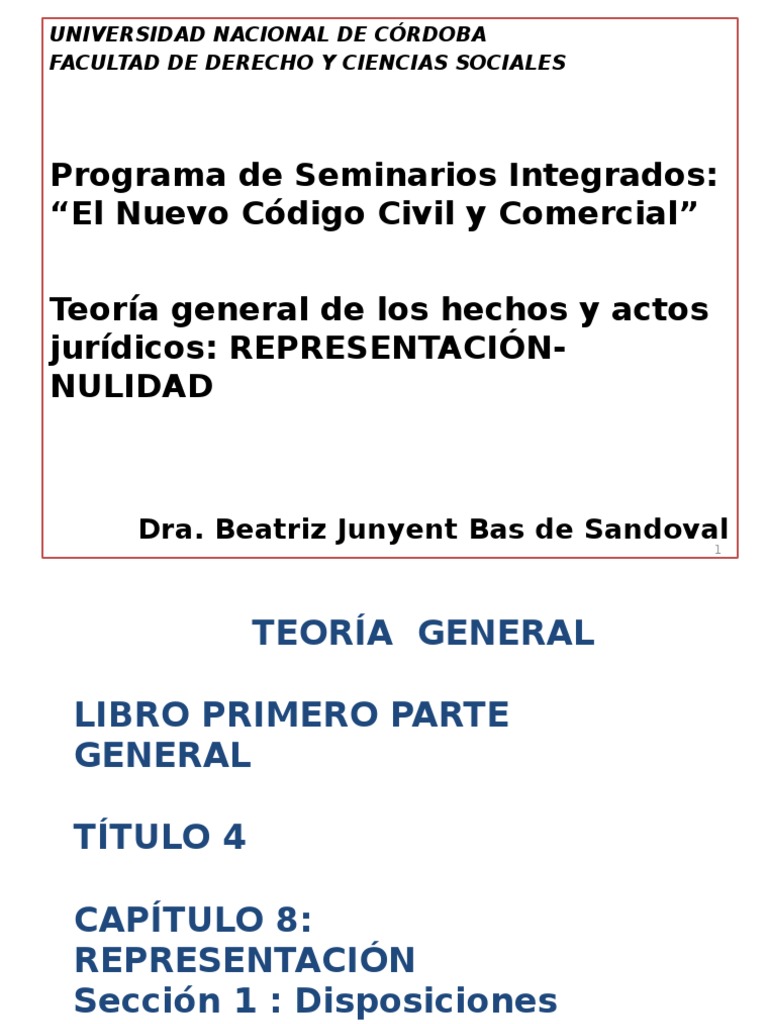 Representación - Nulidad | PDF | Nulo (ley) | Liquidación
