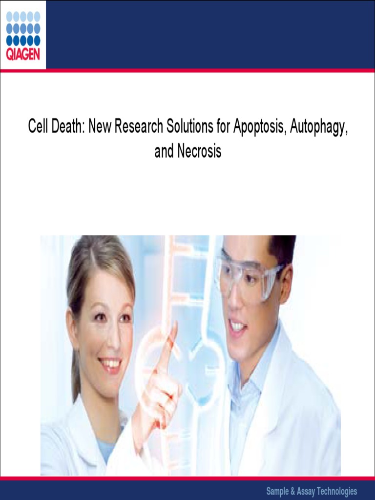 Cell Death Research | Download Free PDF | Gene Expression | Dna Methylation